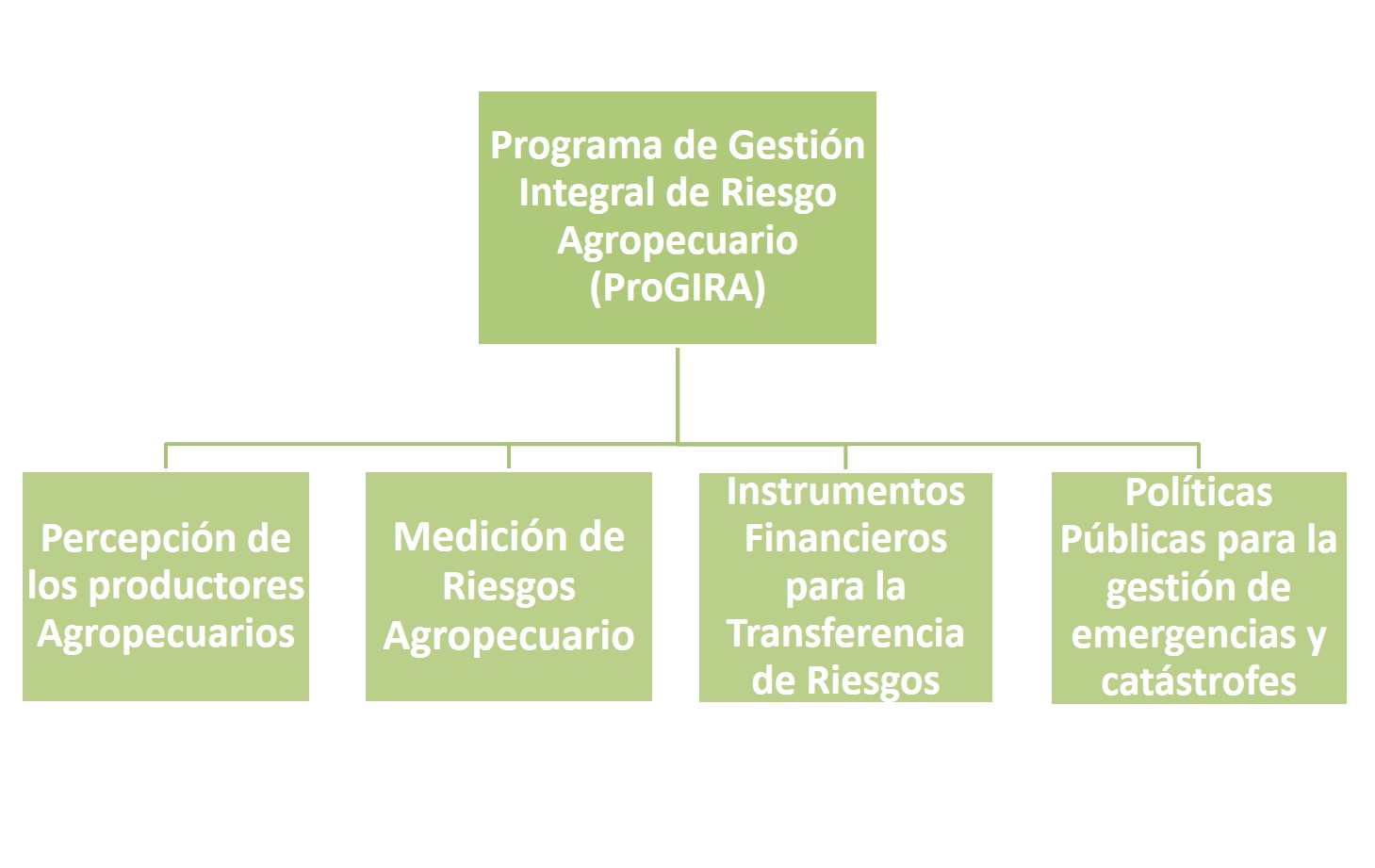 progira - Investigación